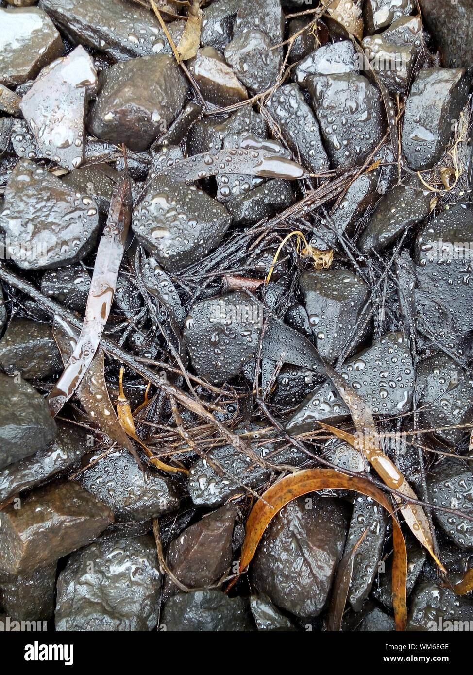 Wet stones hi-res stock photography and images - Alamy