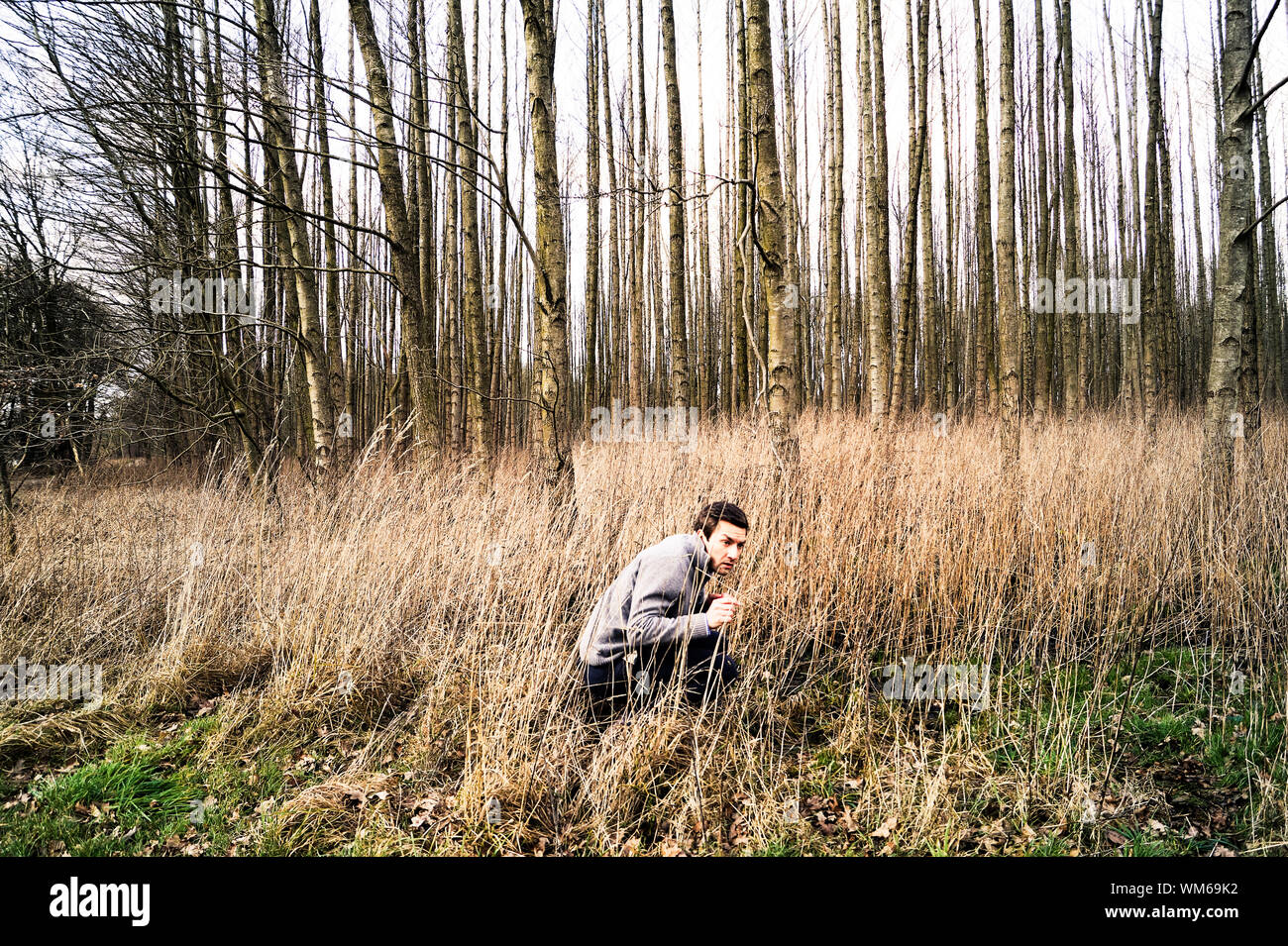 Man Hiding In Tree High Resolution Stock Photography and Images - Alamy
