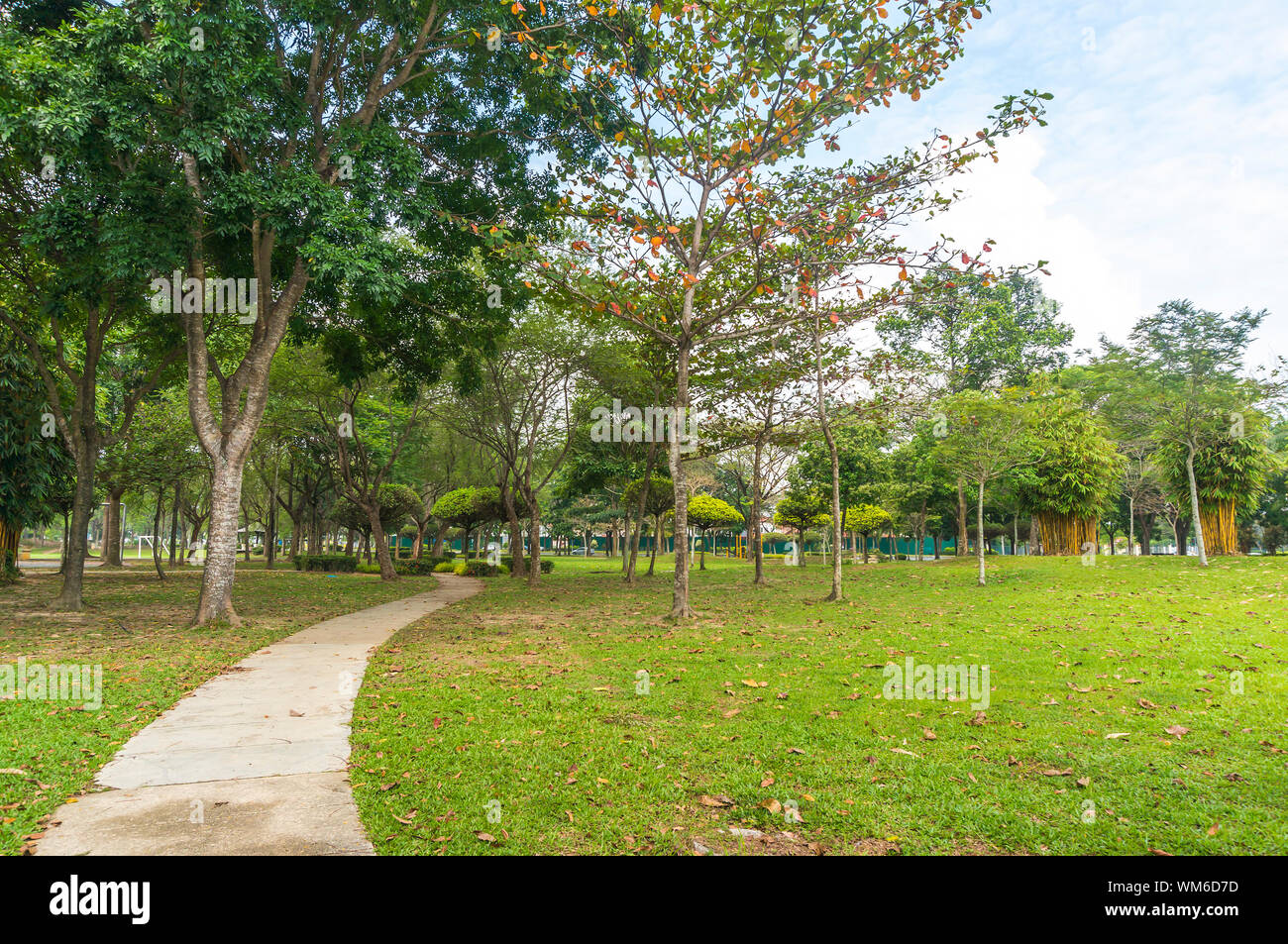 Walkway park hi-res stock photography and images - Alamy