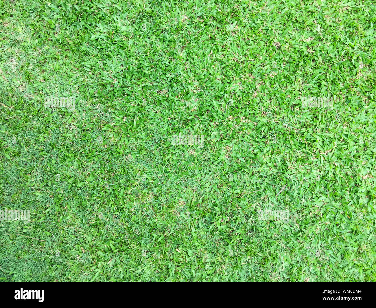 High angle shot grassland hi-res stock photography and images - Alamy