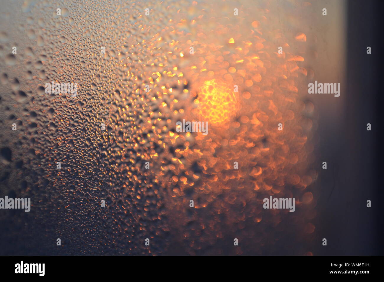 Condensation on glass hi-res stock photography and images - Alamy