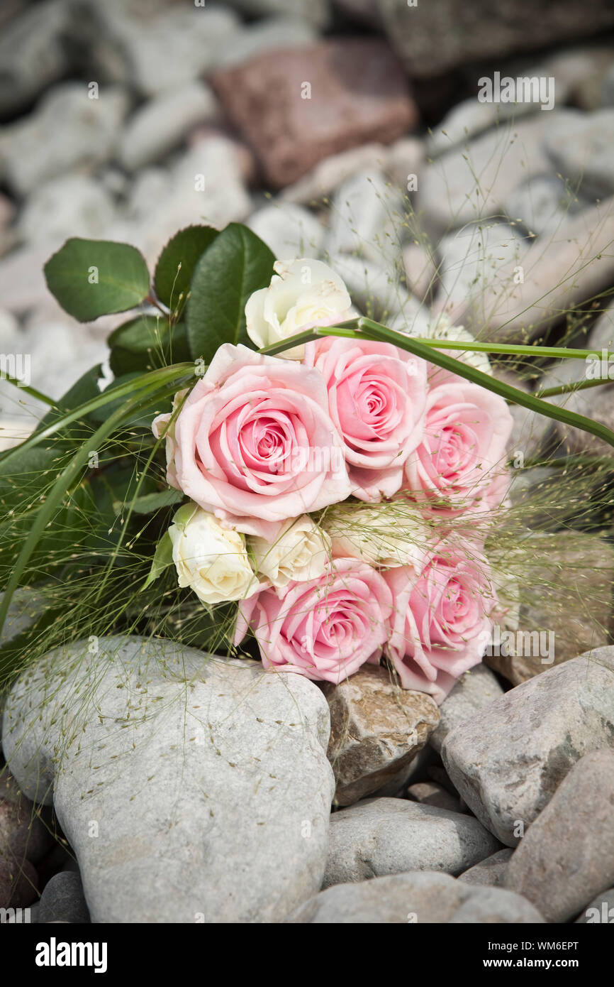 Bouquet of pink and white roses lying on rocks Stock Photo - Alamy