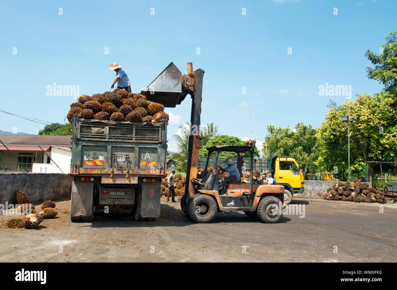 PALM OIL TRANSPORT IN MALAYSIA Stock Photo - Alamy