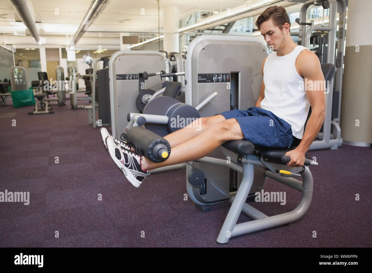 Fit man using weights machine for legs at the gym Stock Photo - Alamy