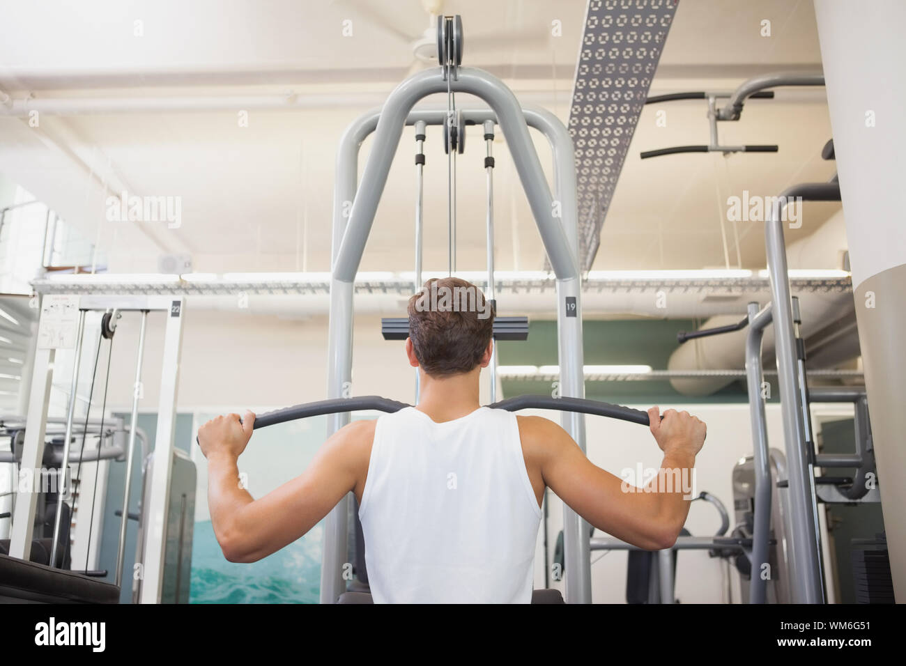 Fit man using weights machine for arms at the gym Stock Photo - Alamy