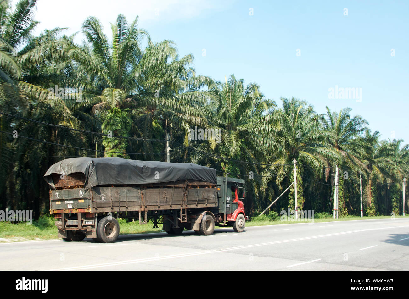 Oil palm fruit truck hi-res stock photography and images - Alamy