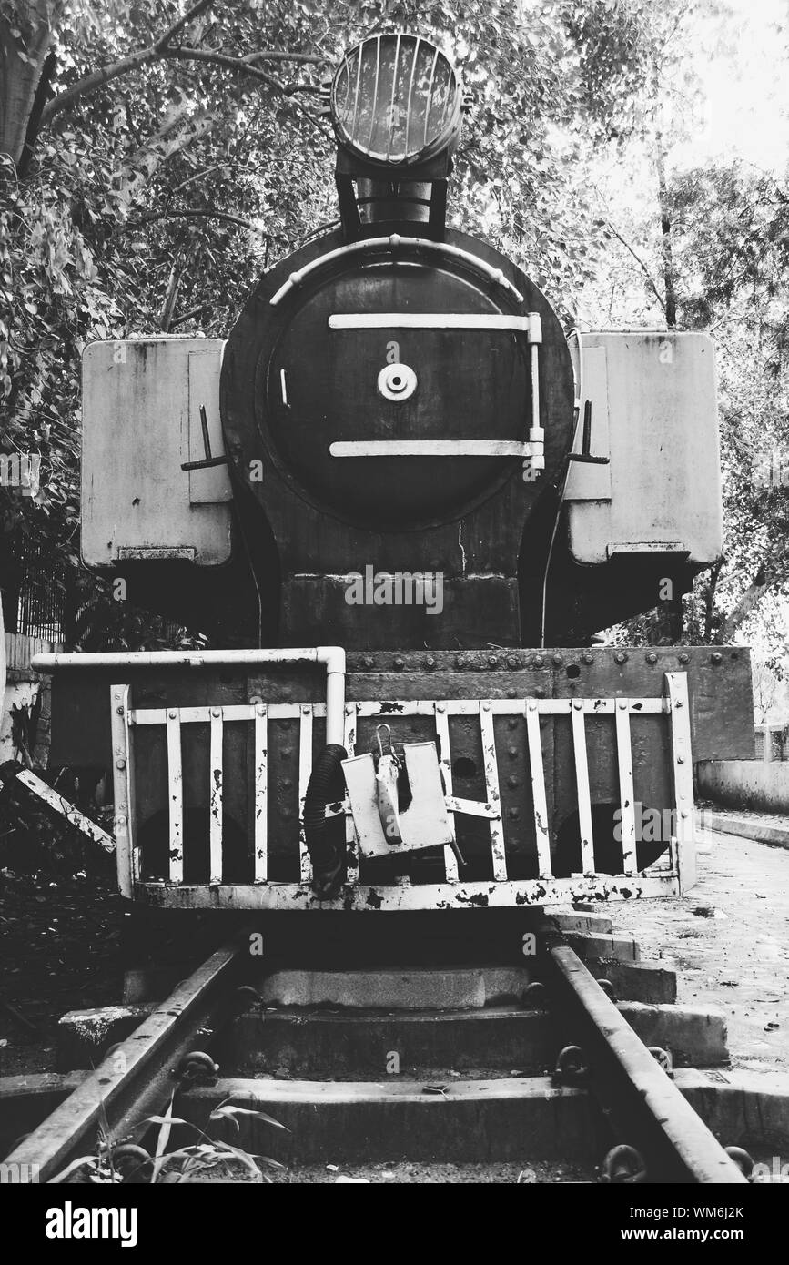 Train tree hi-res stock photography and images - Alamy