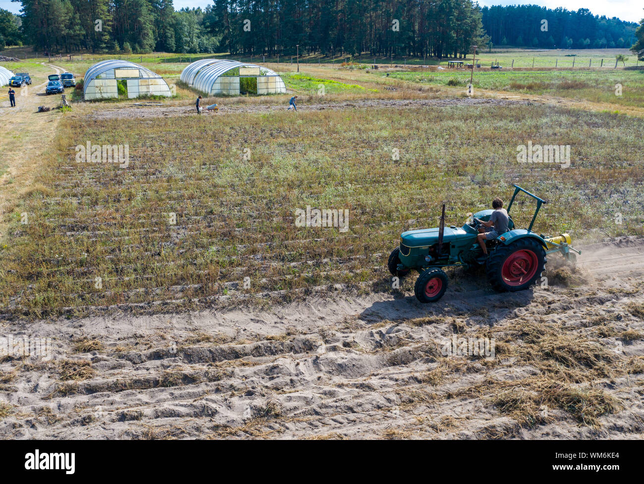 Klein Trebbow, Germany. 04th Sep, 2019. The potatoes of the SoLaWi farm ...