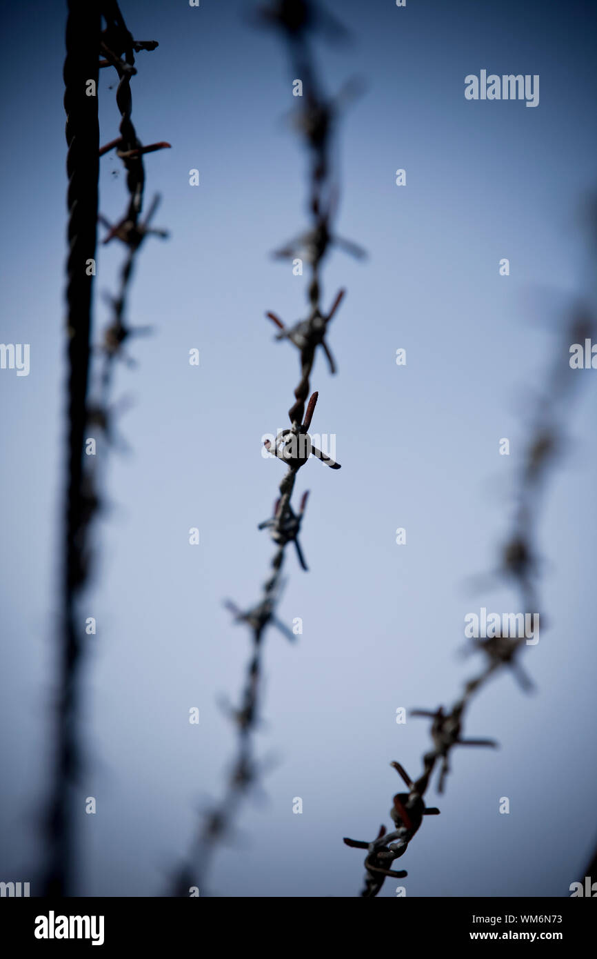 Abstract barbed wire with short focal depth Stock Photo - Alamy