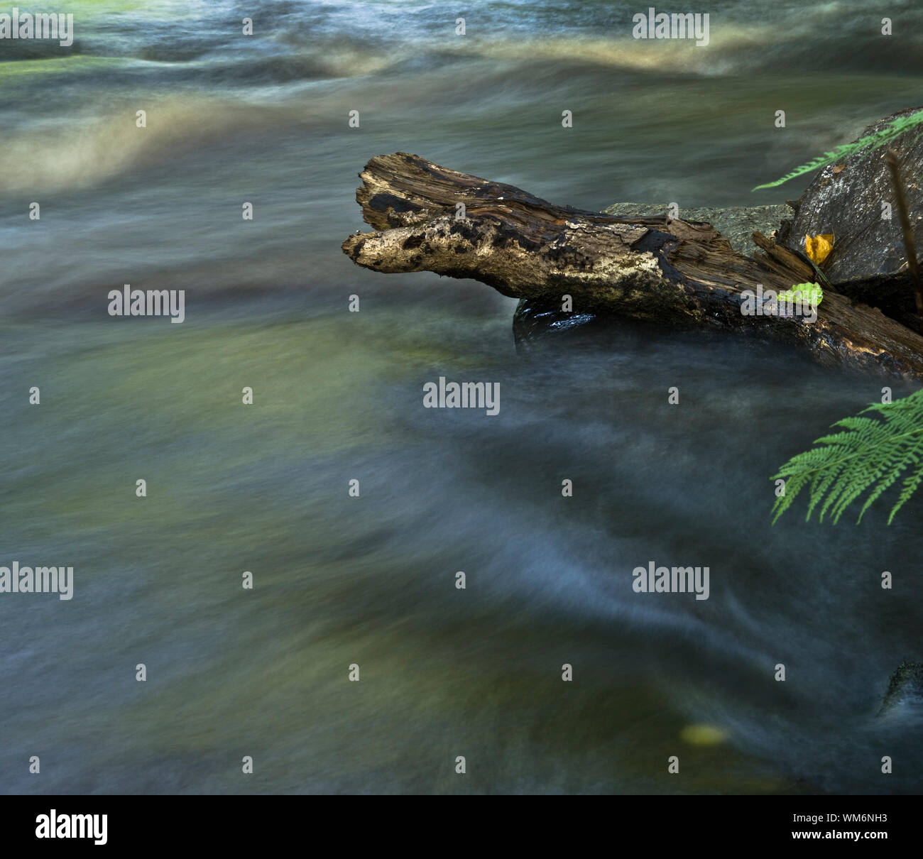 Stone in a pitch shot with long exposure time Stock Photo - Alamy