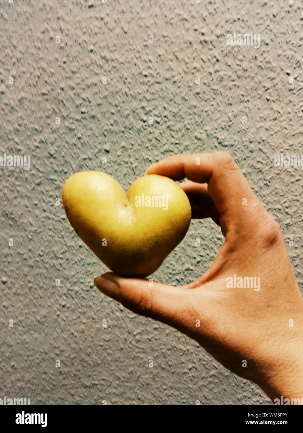 Close up human hand holding potato hi-res stock photography and images ...
