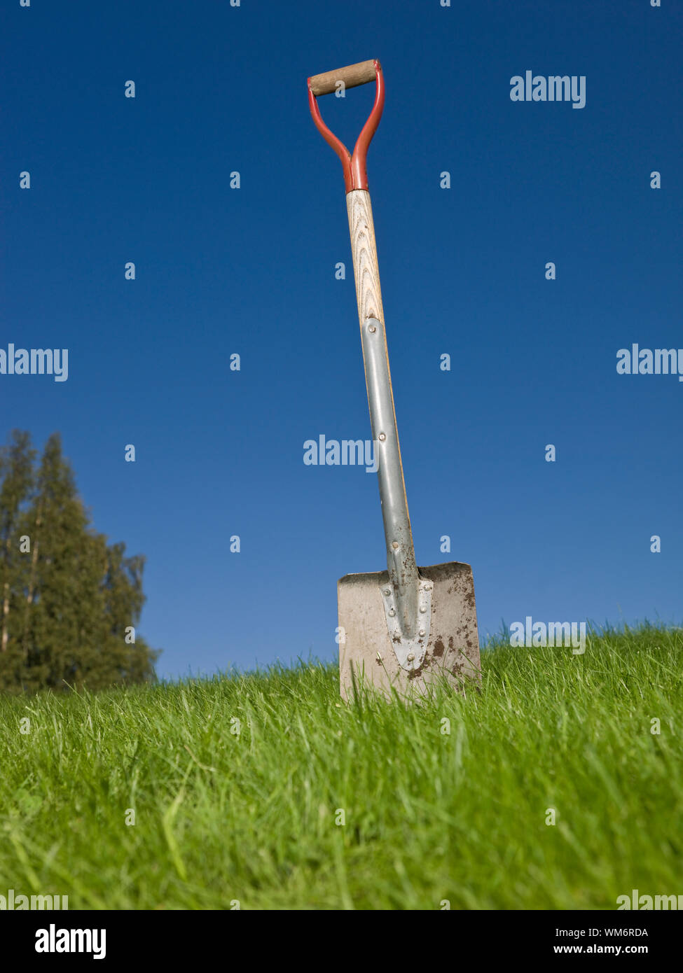 Spade against tree High Resolution Stock Photography and Images - Alamy
