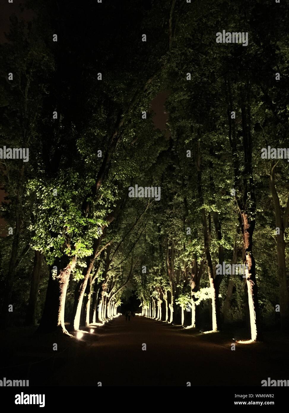 Canopy pathway hi-res stock photography and images - Alamy