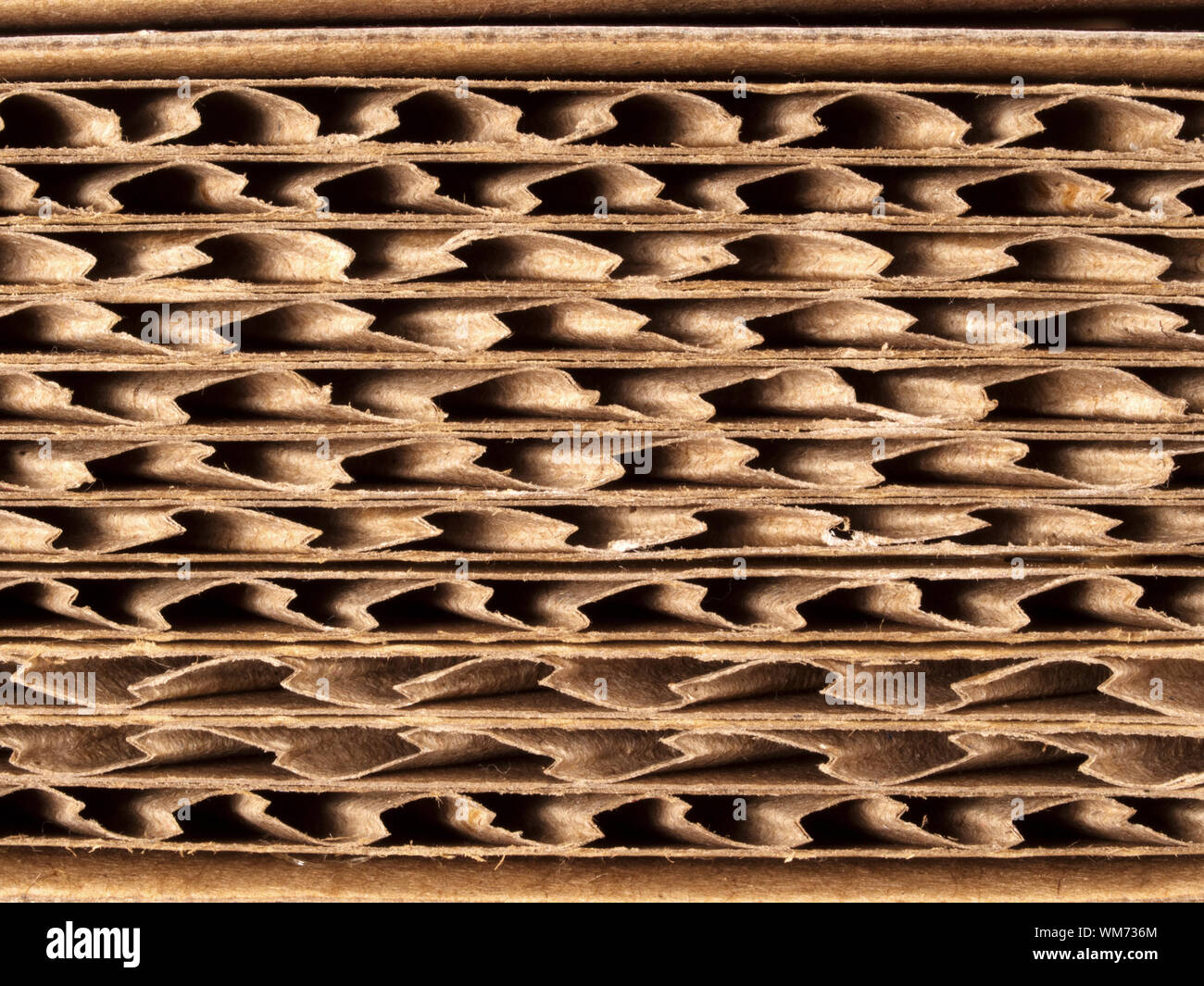 Cardboard Side Texture