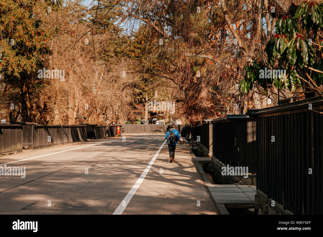 Samurai tree hi-res stock photography and images - Alamy