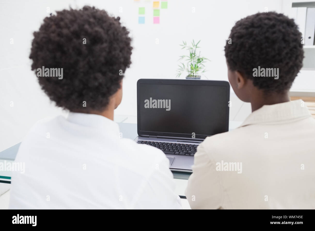 Rear view of team using laptop in the office Stock Photo - Alamy