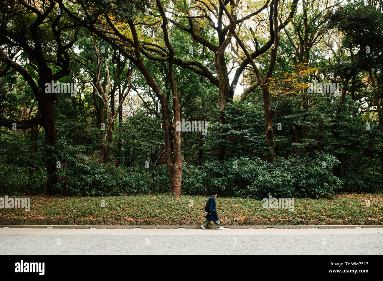 Tokyo trail with greenery hi-res stock photography and images - Alamy
