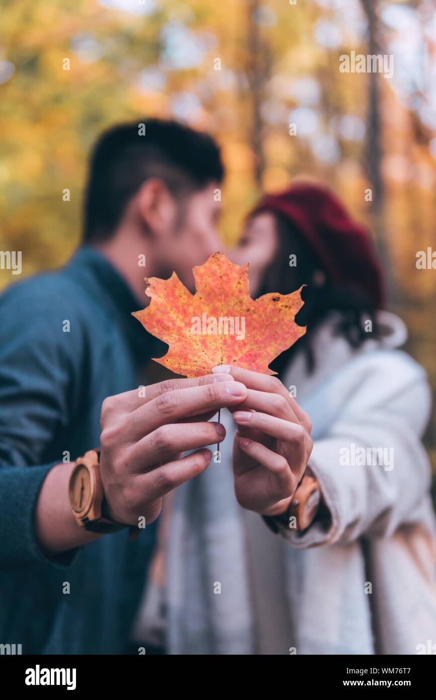 Leaf couple hi-res stock photography and images - Alamy