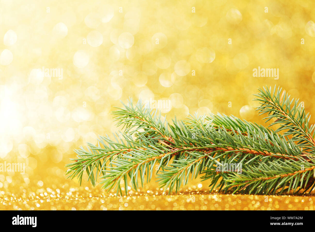 Green fir branch isolated on golden glitter shining background Stock ...