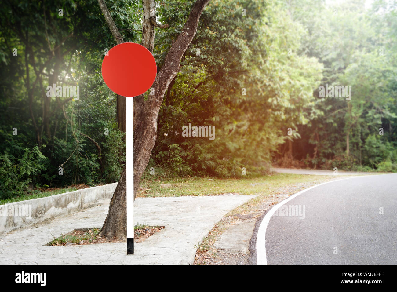 Road Sign By Trees In Forest Stock Photo - Alamy