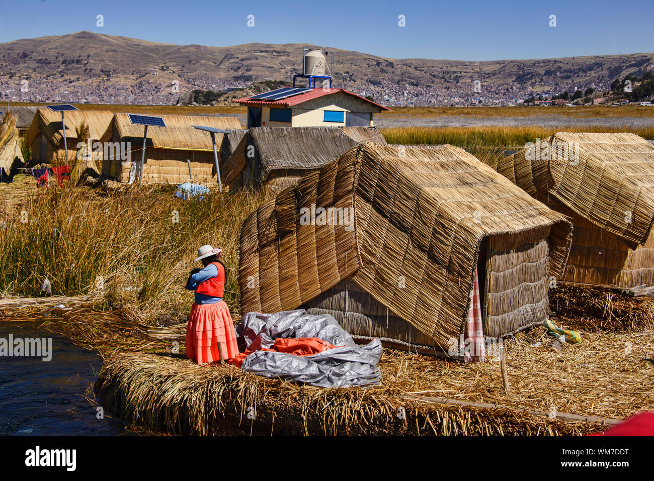 Floating reed island hi-res stock photography and images - Alamy
