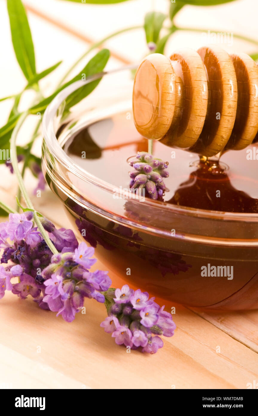 lavender honey with fresh flowers. sweet food Stock Photo - Alamy