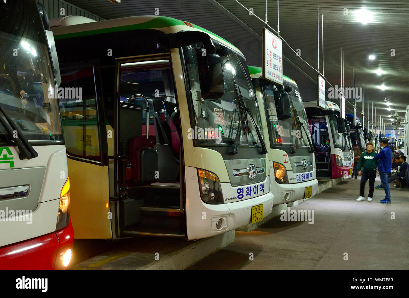 Jinju night bus terminal in South Korea Stock Photo - Alamy