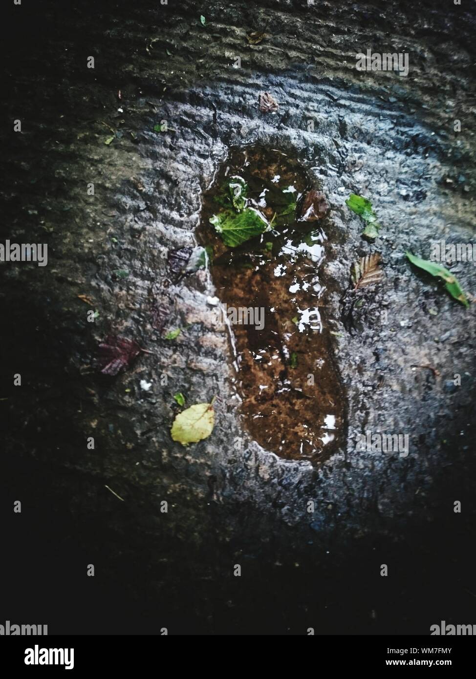Concrete footprint hi-res stock photography and images - Alamy