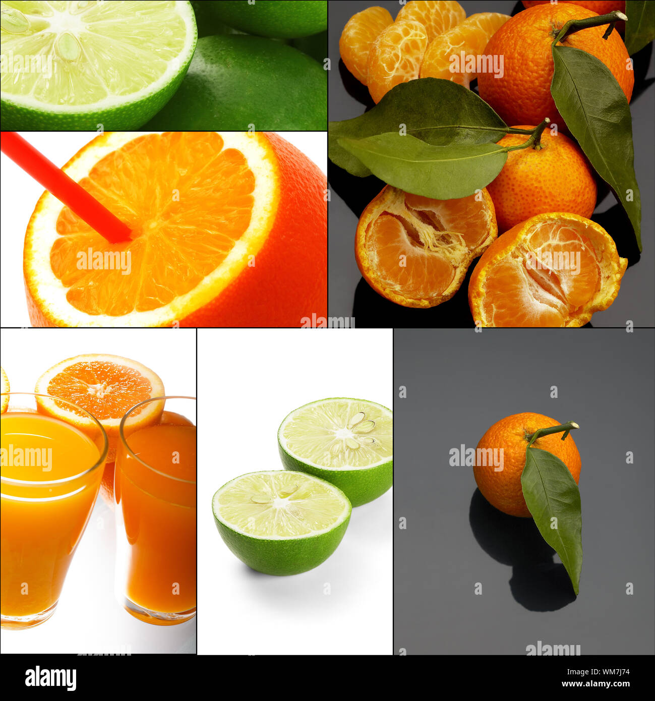 fresh citrus fruits collage composition nested on a square frame Stock ...