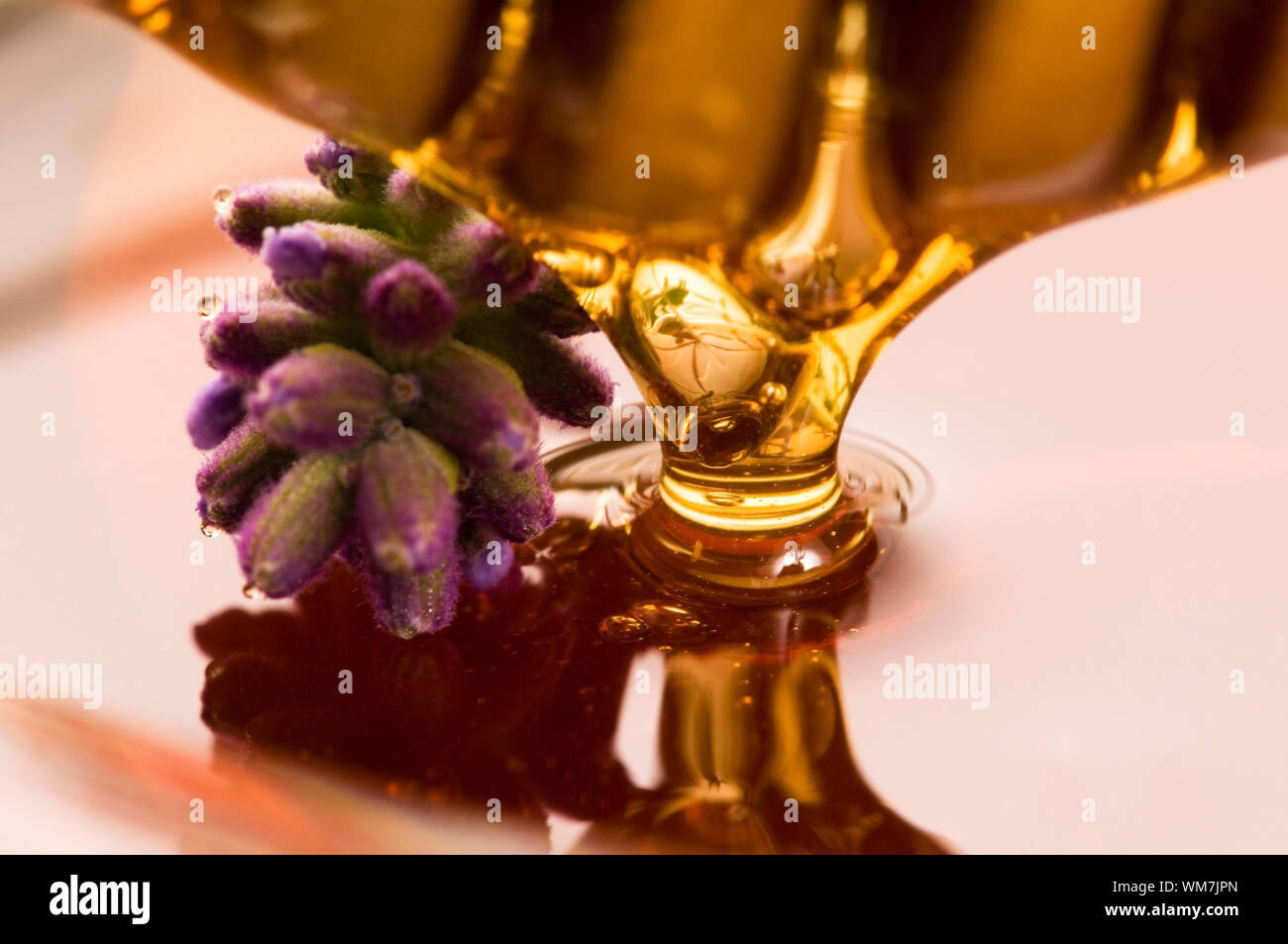 lavender honey with fresh flowers. sweet food Stock Photo - Alamy