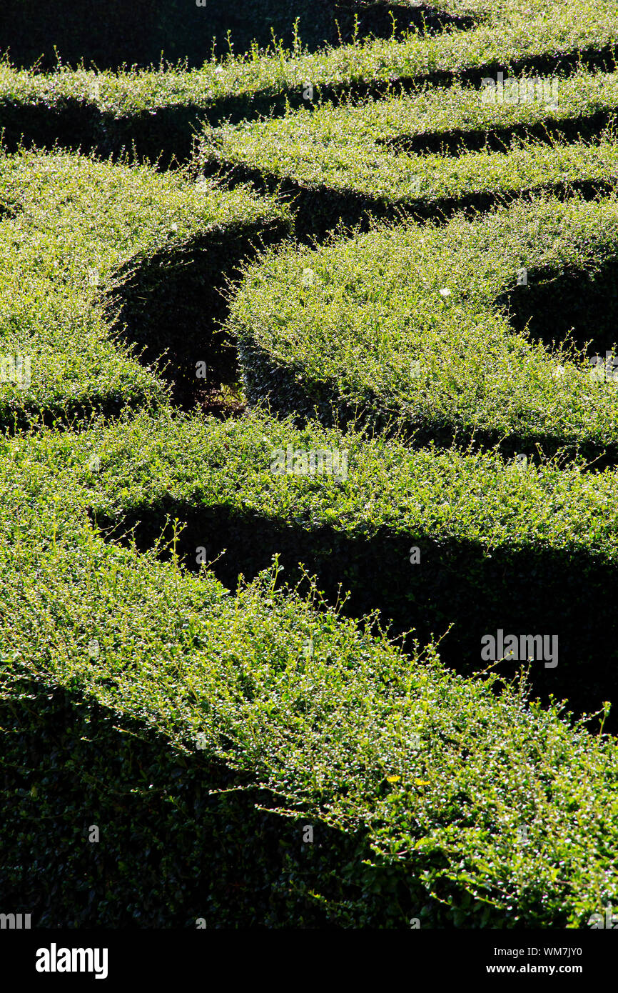 Labyrinth bush park in hi-res stock photography and images - Alamy