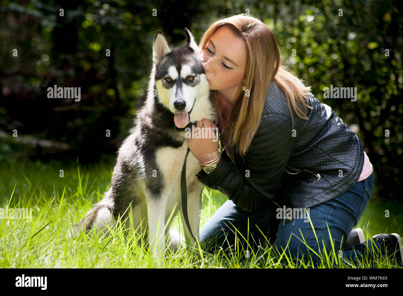 Young woman and her husky in the forest Stock Photo - Alamy