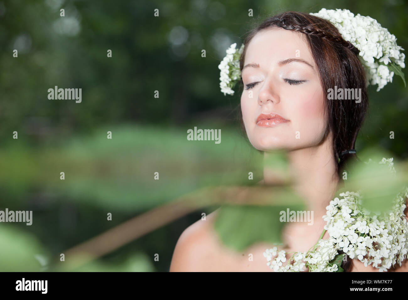 into the nature Stock Photo - Alamy