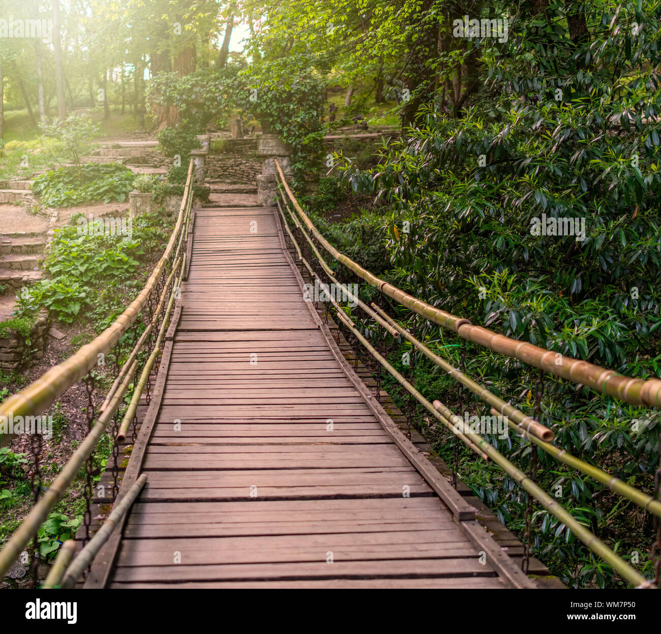 Suspension bridge with bamboo railing in a green summer park. Arboretum ...