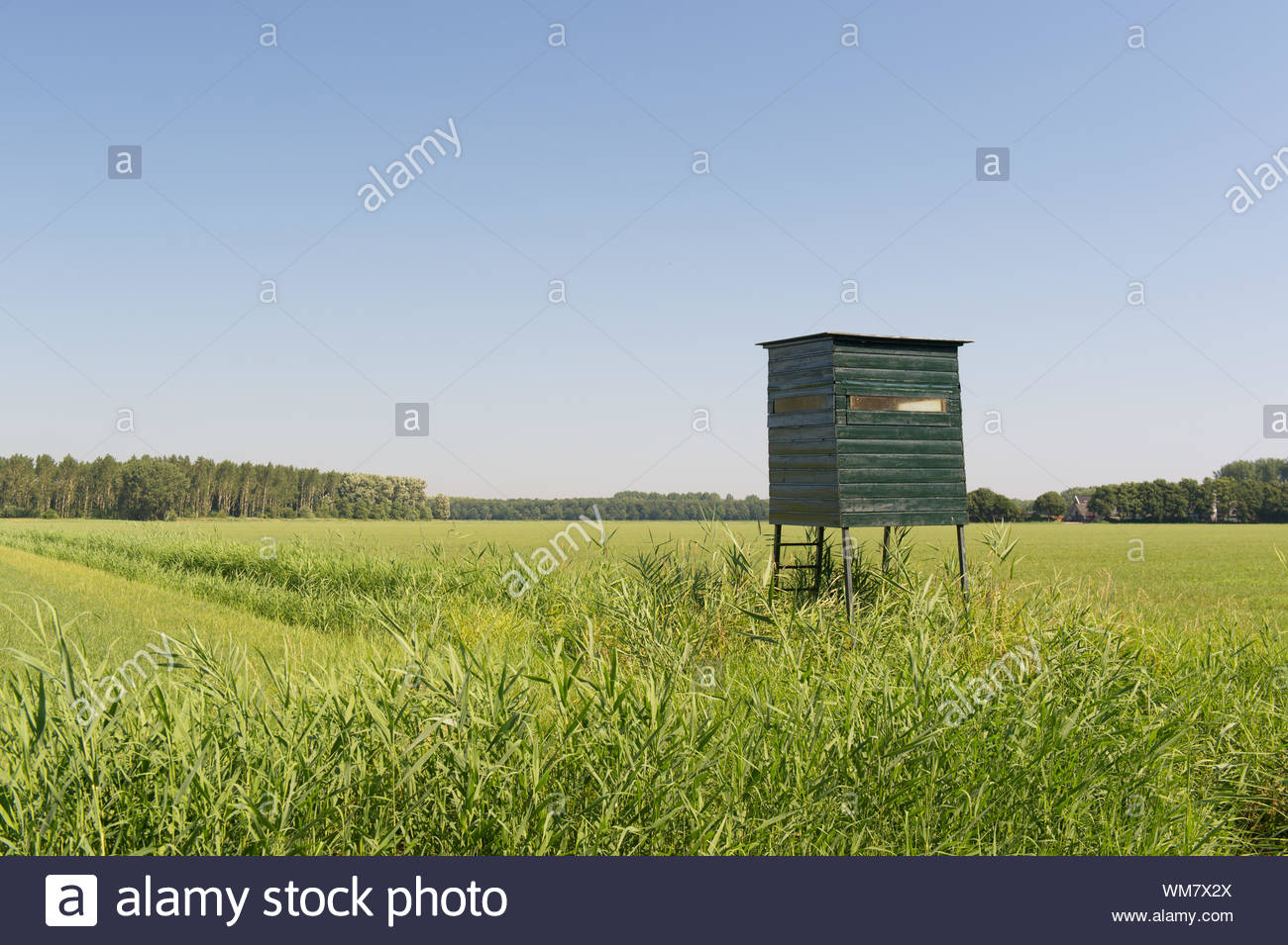 Observation Hut High Resolution Stock Photography and Images - Alamy