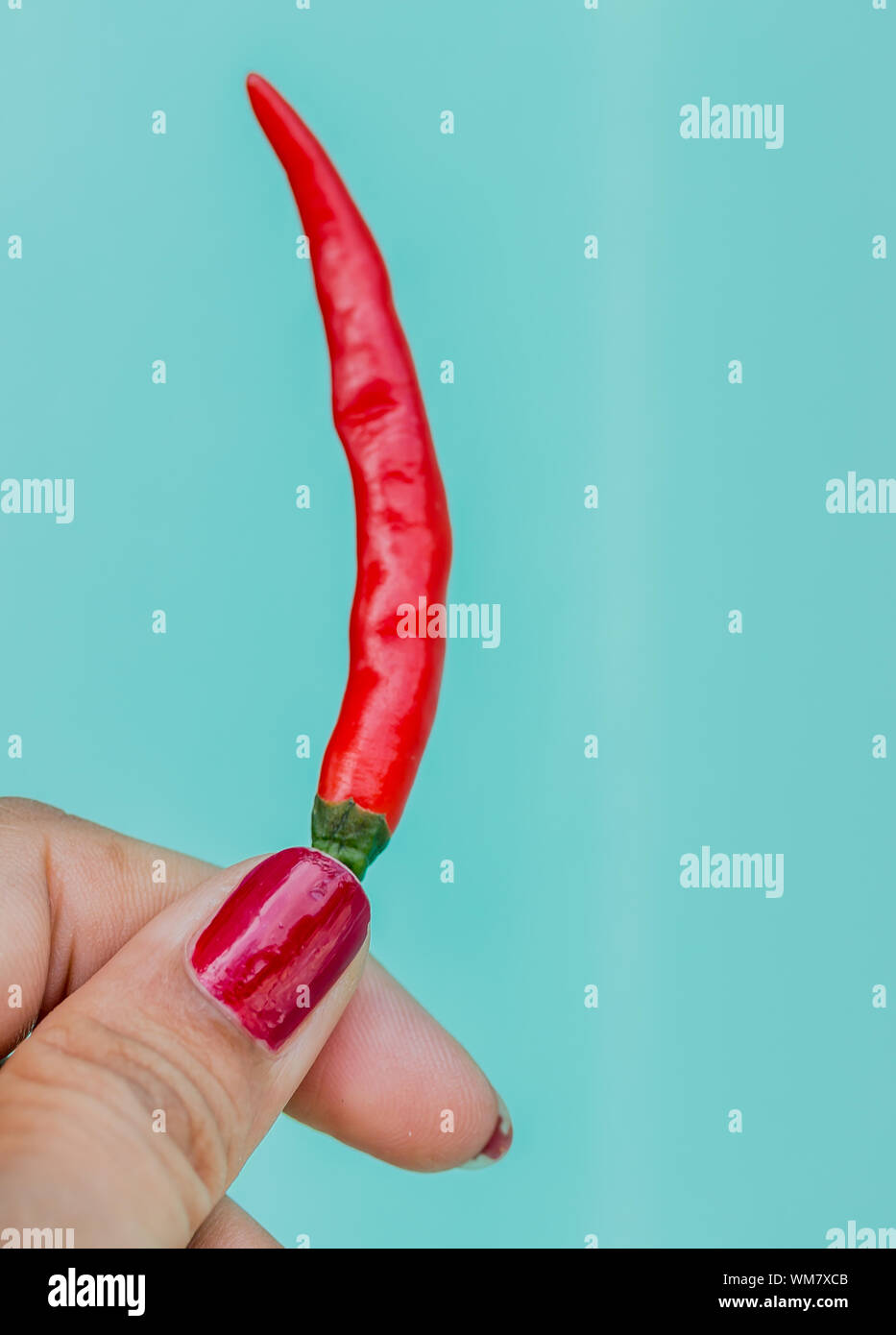 Hot Chilli Peppers Meaning Capsaicin Fiery And Seasoning Stock Photo ...