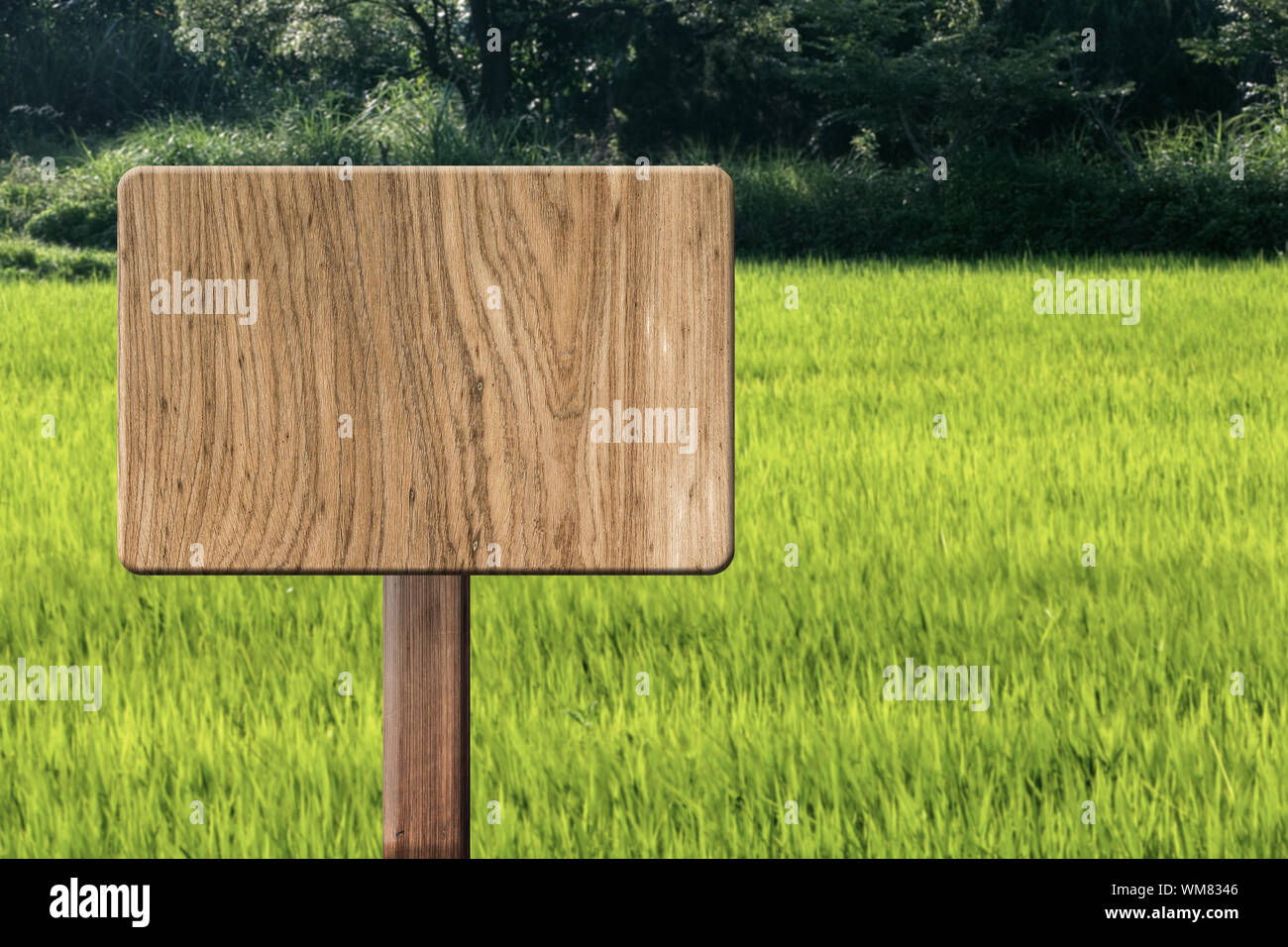 Blank wooden sign on field of farm. Concept of rural, idyllic ...
