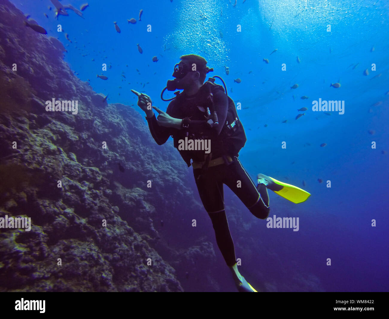 Full Length Of Man Scuba Diving In Sea Stock Photo - Alamy