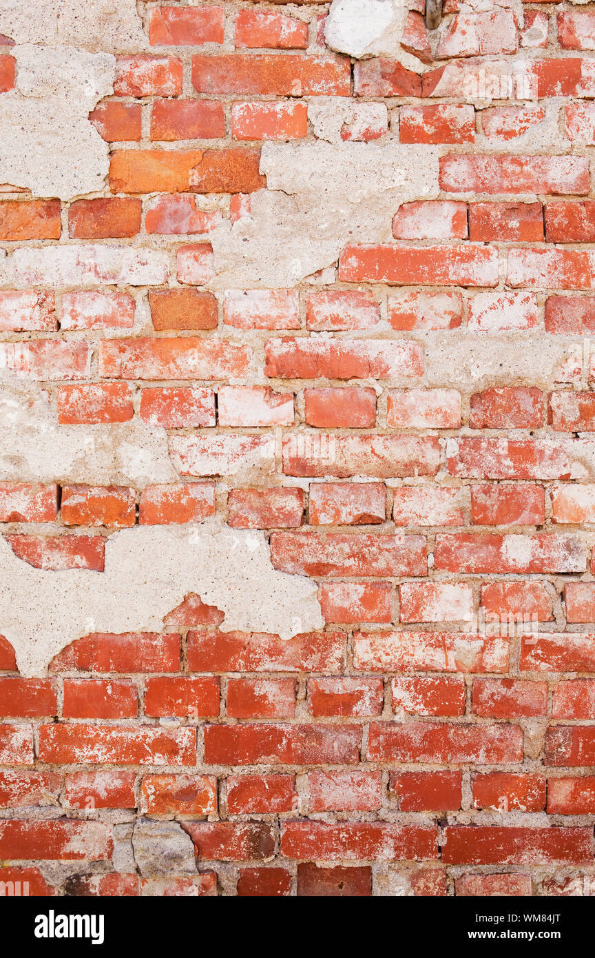 Brick wall with mortar as a pattern Stock Photo - Alamy