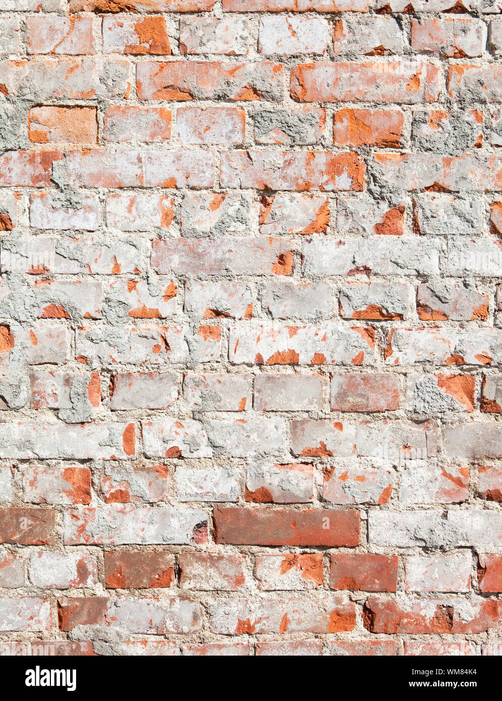 Brick wall with mortar as a pattern Stock Photo - Alamy
