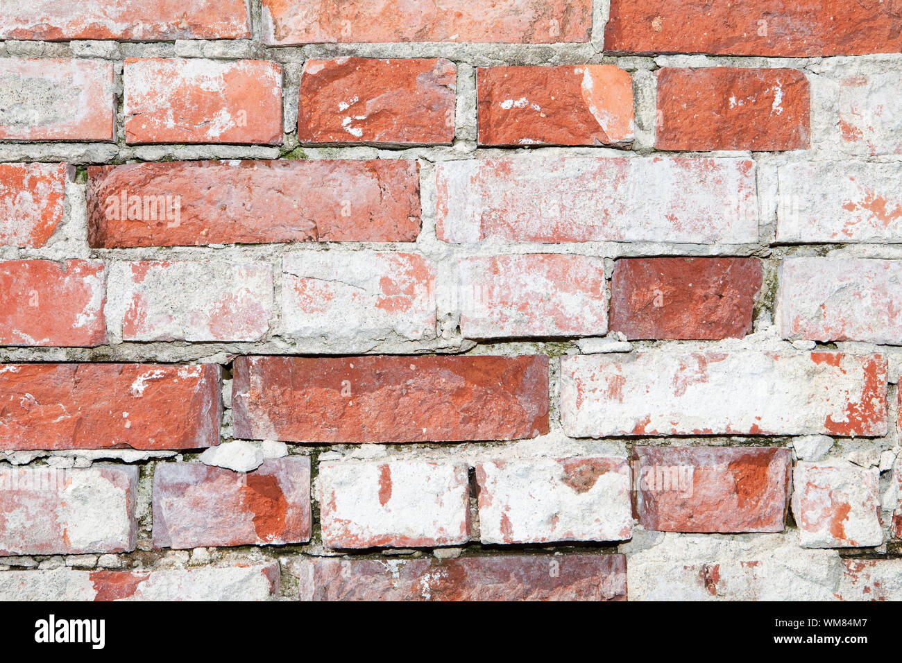 Brick wall with mortar as a pattern Stock Photo - Alamy