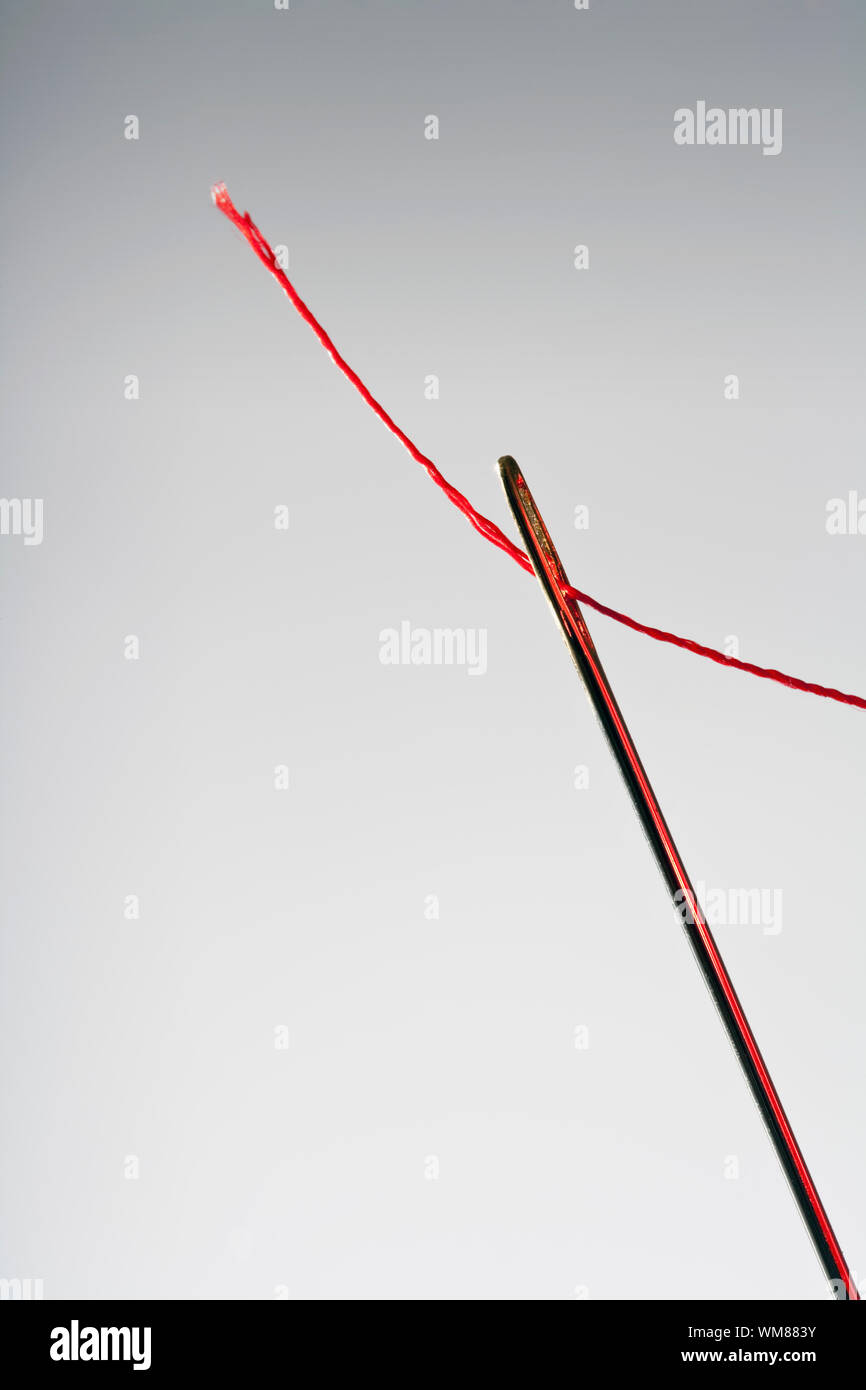 macro image of needle and red thread against grey background Stock ...