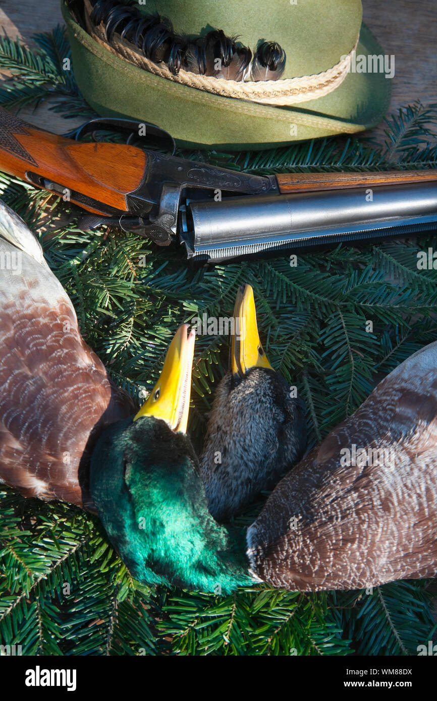 hunting still life with rifle, hat and wild ducks Stock Photo - Alamy