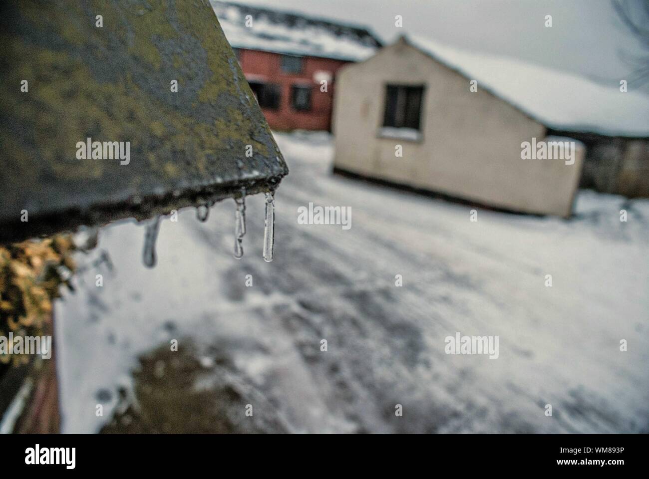 Wet house hi-res stock photography and images - Alamy