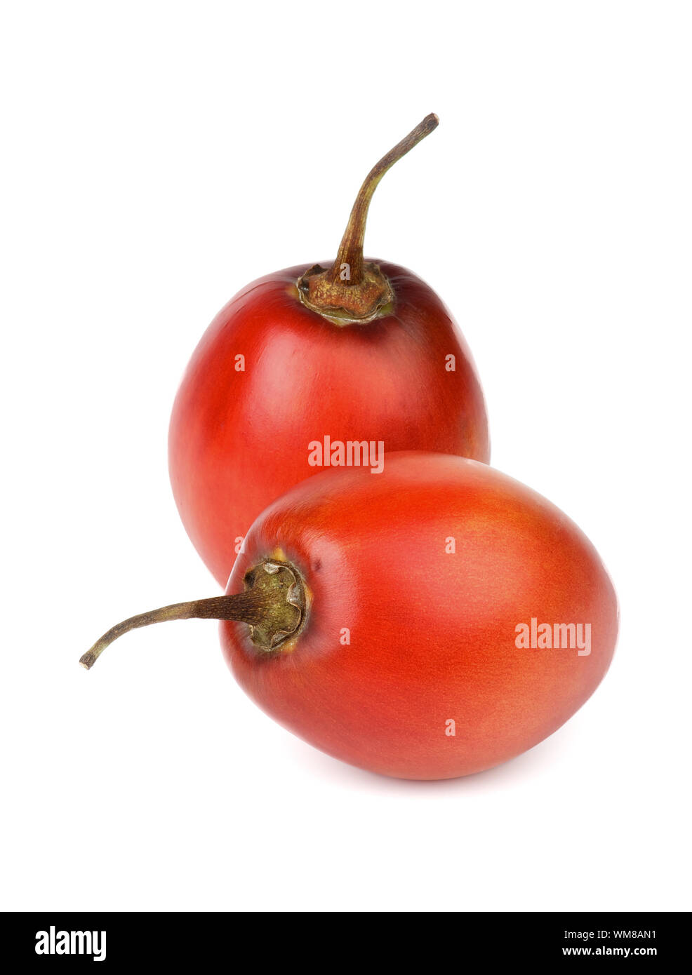 Two Exotic Tropical Fruits Tamarillo Full Body isolated on white ...