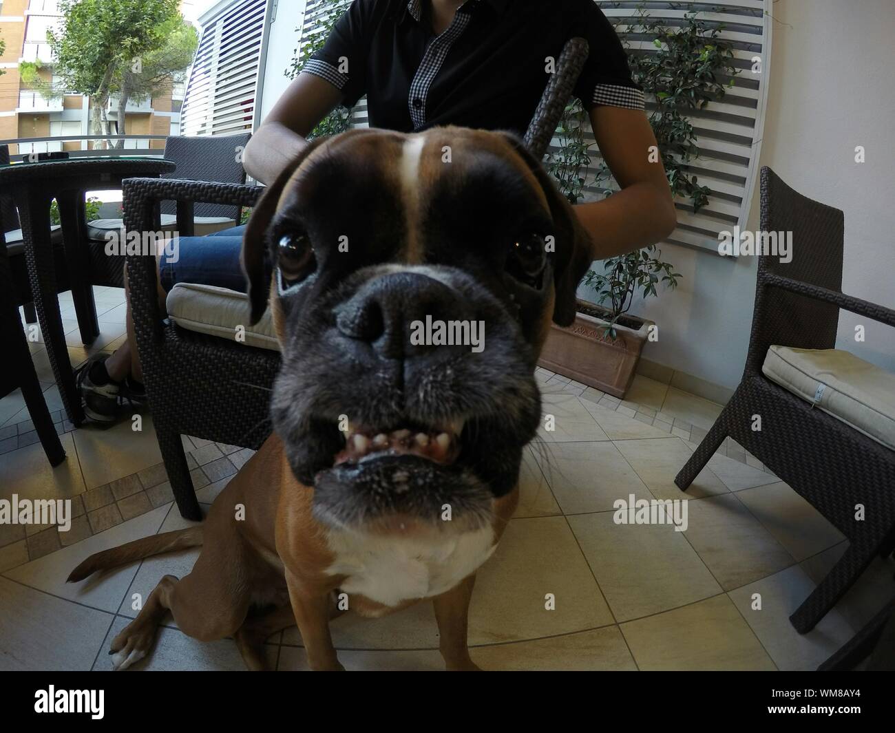 Angry life hi-res stock photography and images - Alamy