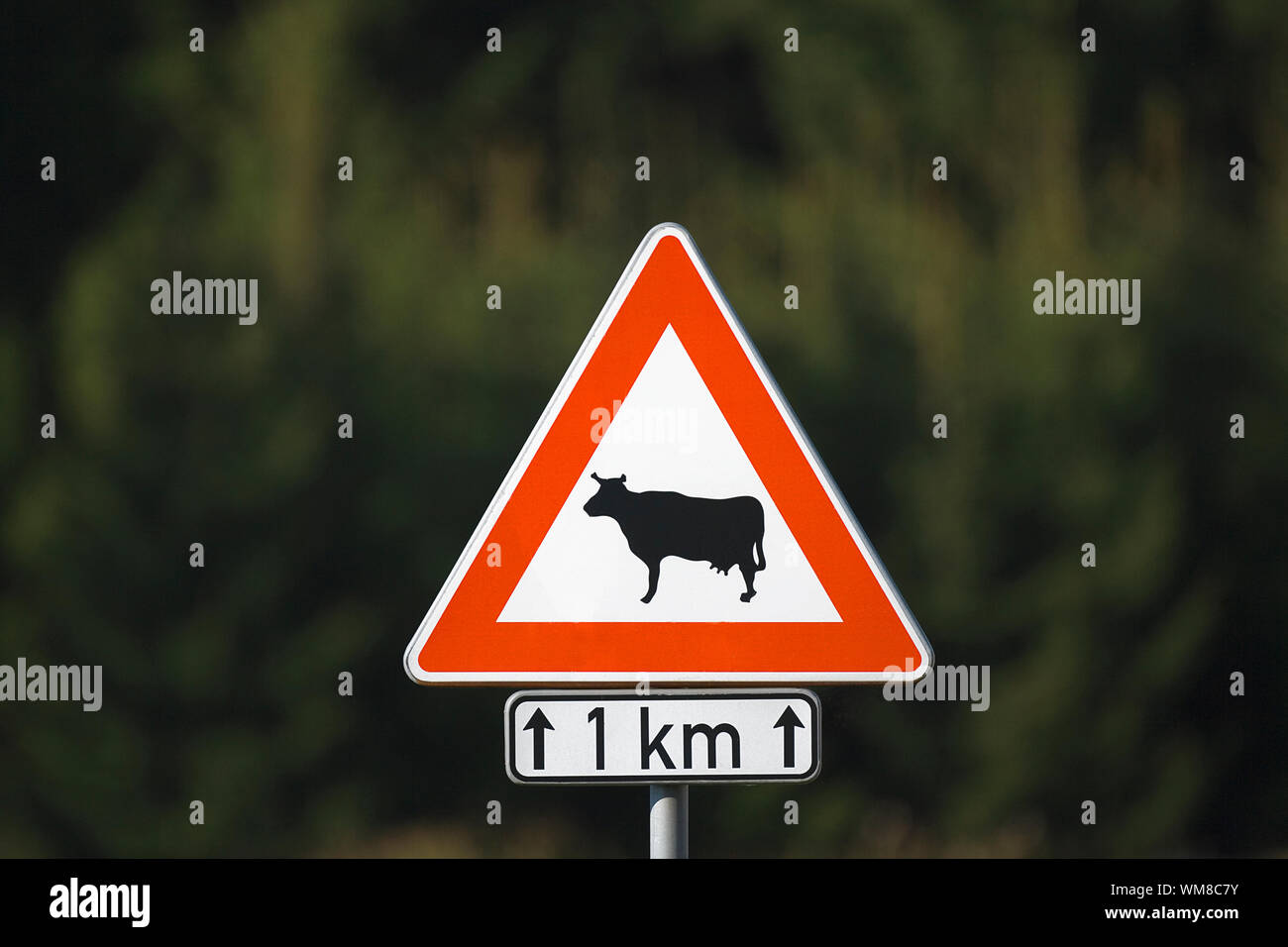 Cattle drive sign hi-res stock photography and images - Alamy