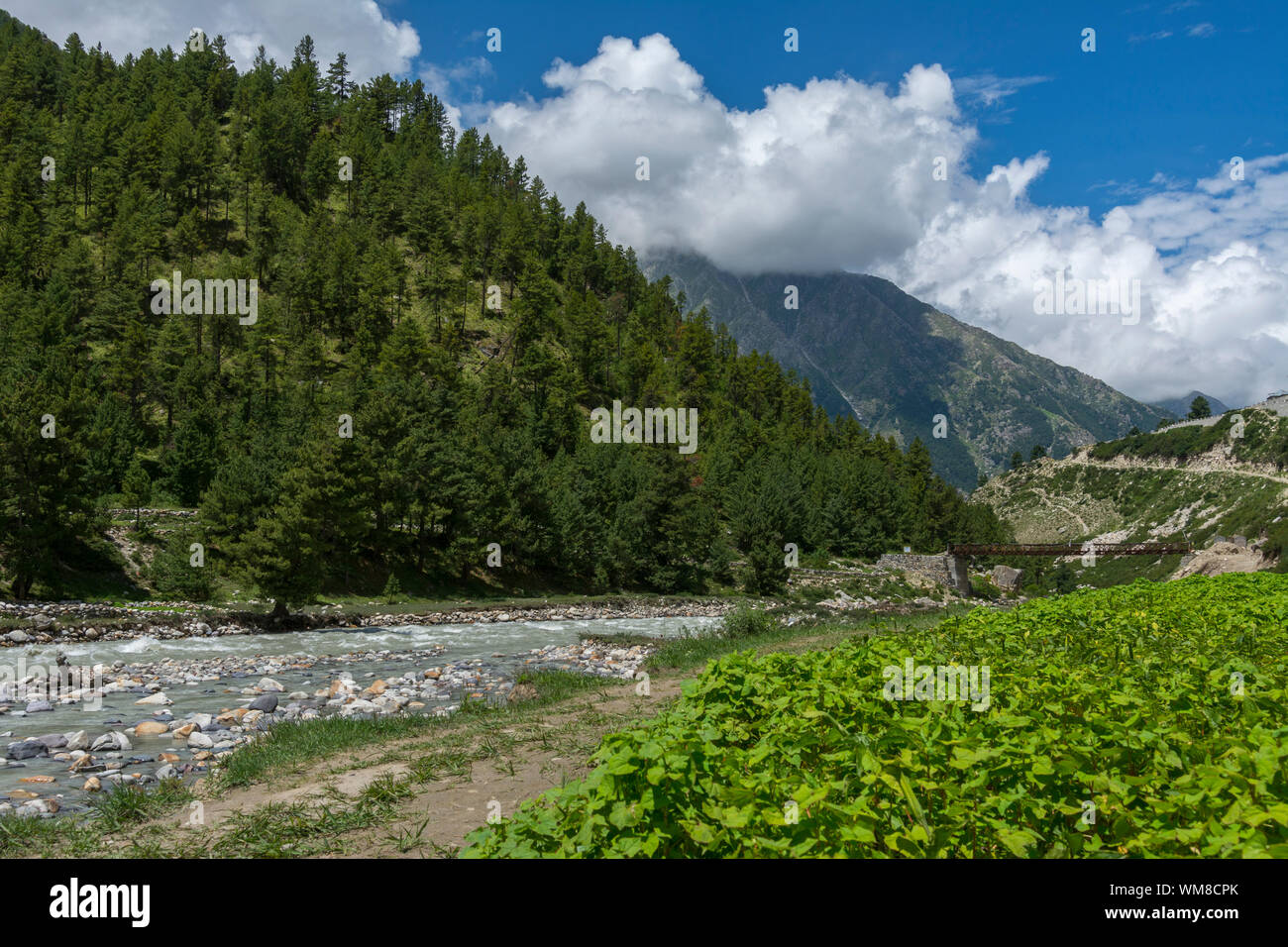 Glacier River flowing through Chitkul Village in Himachal Pradesh,India ...