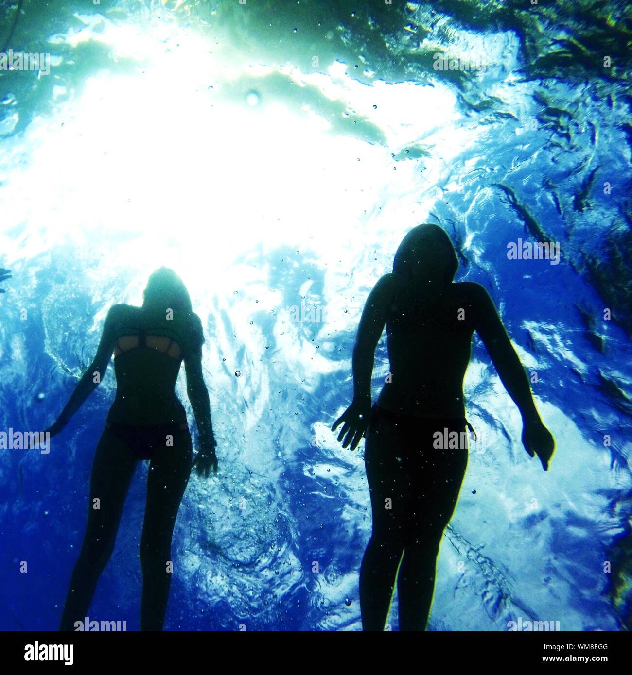 Two women swimming underwater hi-res stock photography and images - Alamy