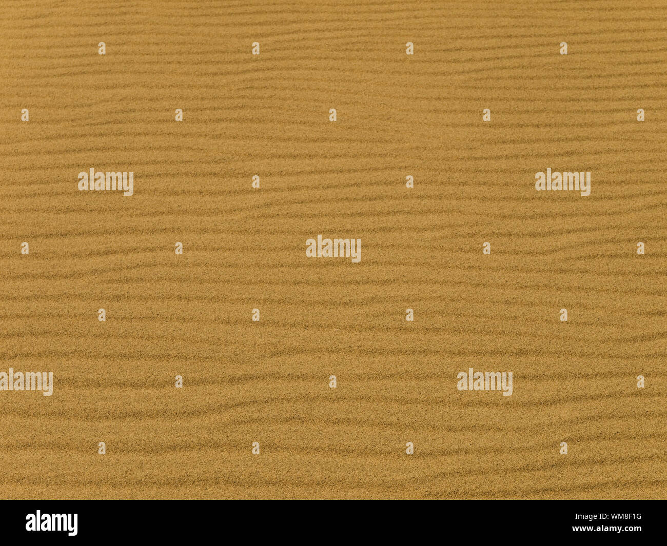 Wind formed sand waves hi-res stock photography and images - Alamy